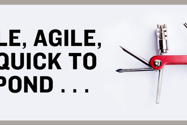Nimble, Agile And Quick to Respond… - Douglas Shaw & Associates